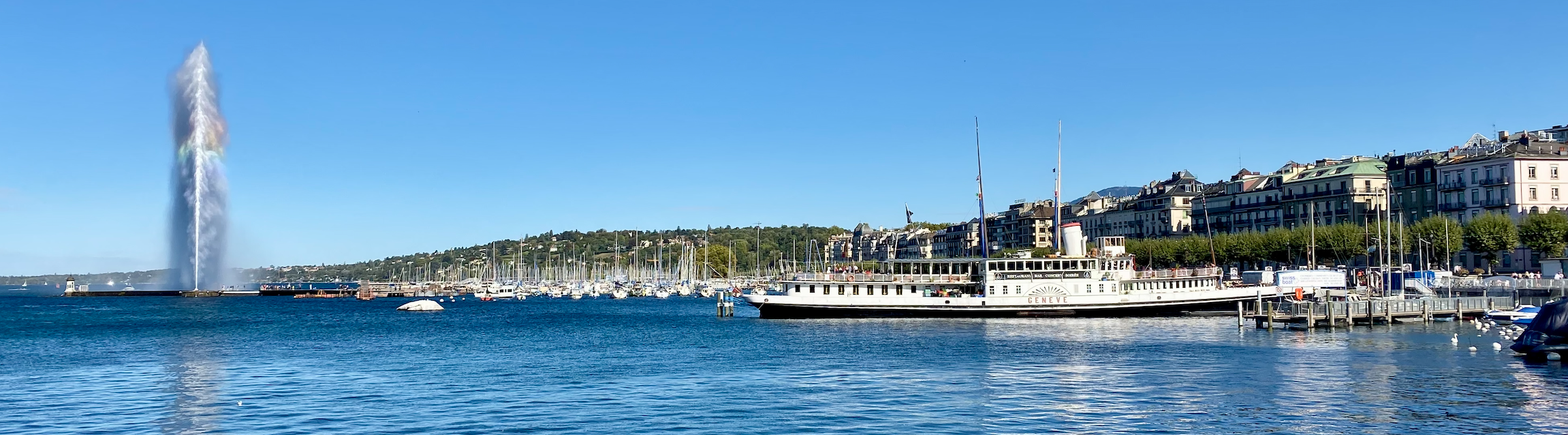 TheIdeaOfMultiMemoEN – Learning is fun.