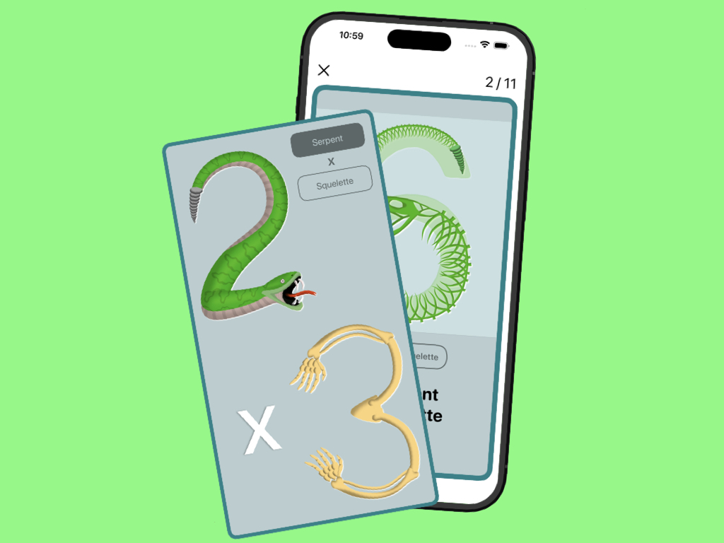 TheAppEN – Learning is fun.